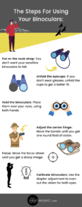 How To Use Binoculars: The Full Guide for Adjusting Your Focus - BinoSpot