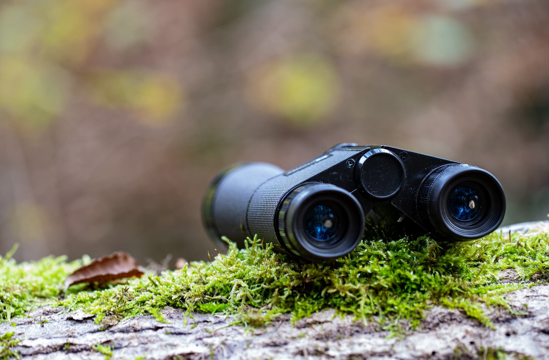 How Do Binoculars Work? - BinoSpot