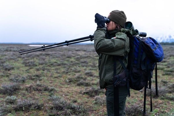 Best Binoculars for Hiking - BinoSpot